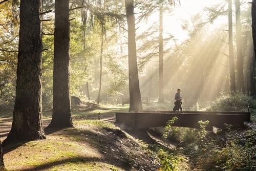 5x the most beautiful nature reserves in Utrecht | Bastion Hotels